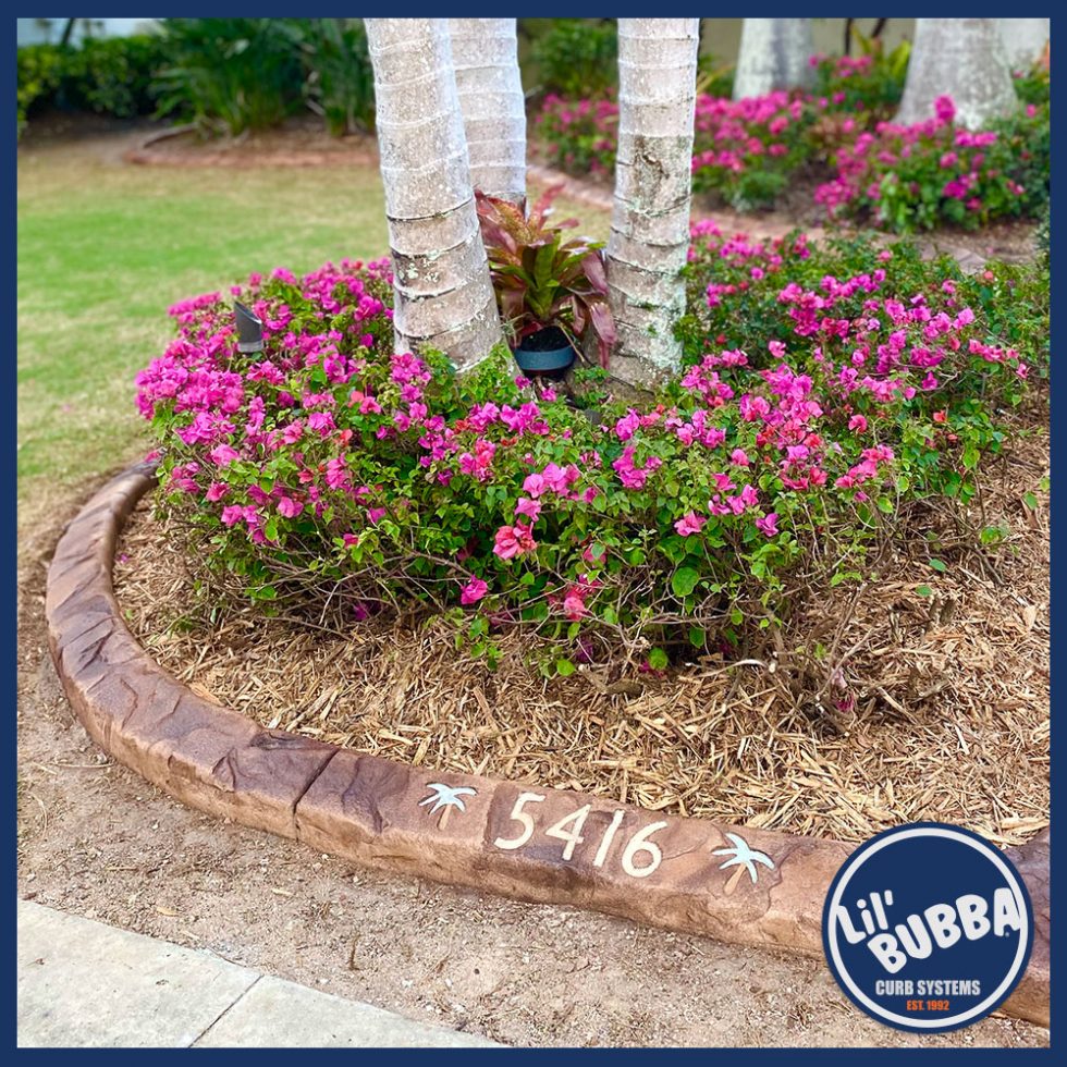 Unmatched Elegance of Sayidi Stone: A Photo Gallery